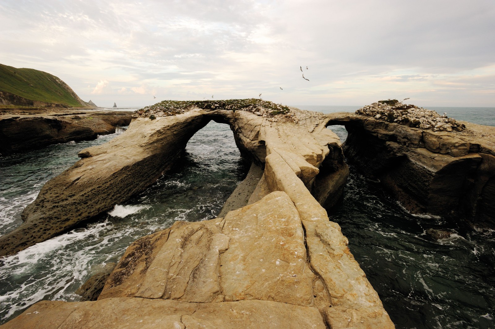 The Cape Challenge | New Zealand Geographic