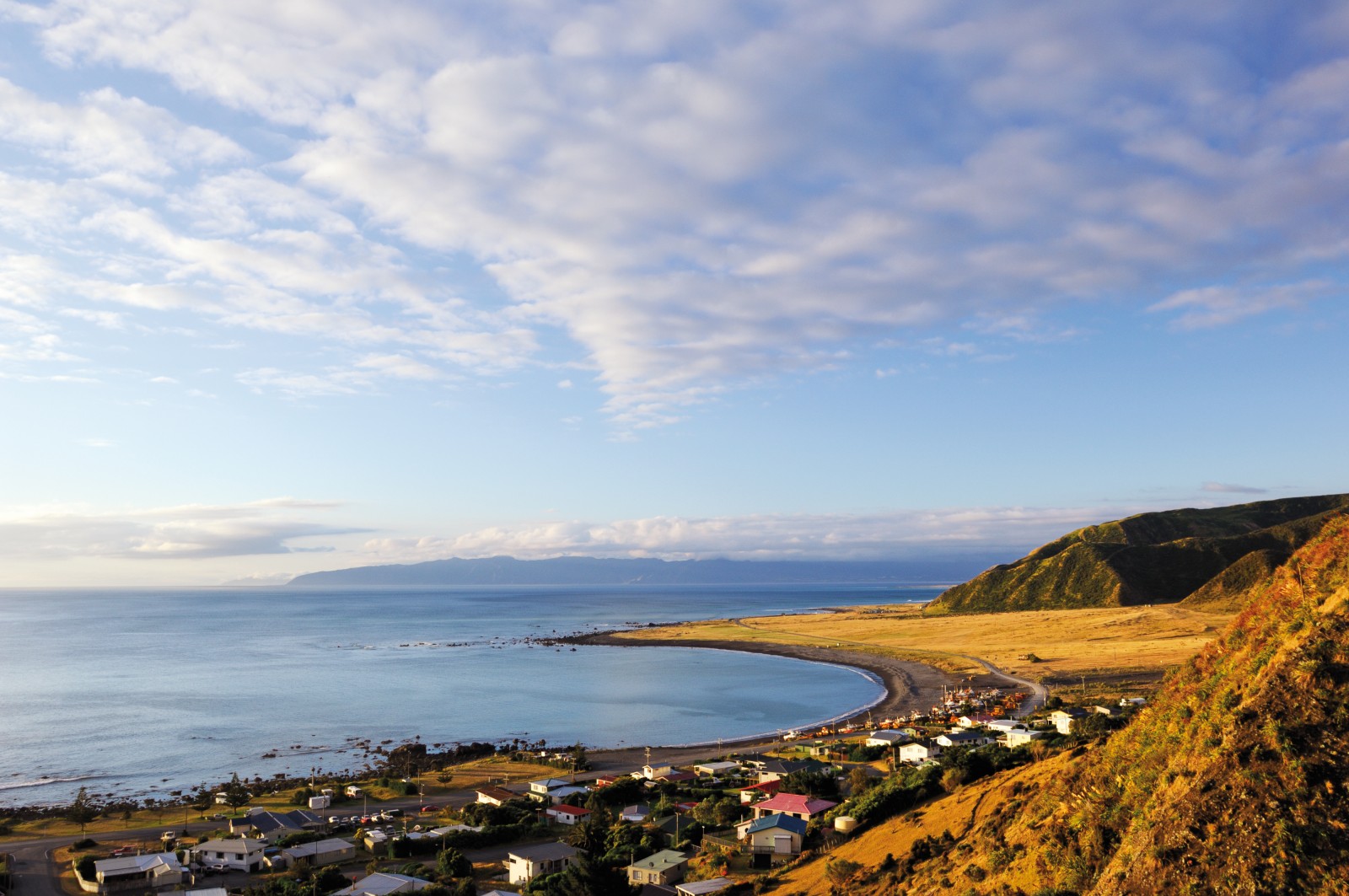 The Beach | New Zealand Geographic
