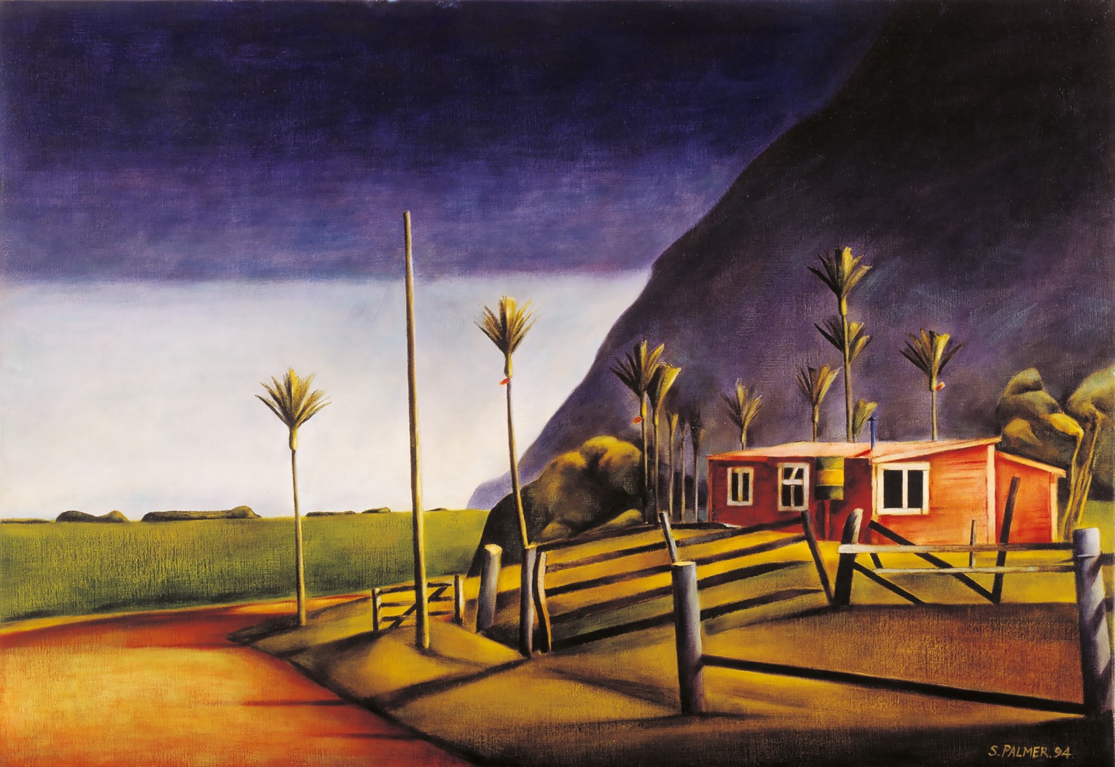 Nikau: the Kiwi palm | New Zealand Geographic