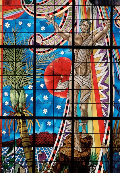 Nikau: the Kiwi palm | New Zealand Geographic