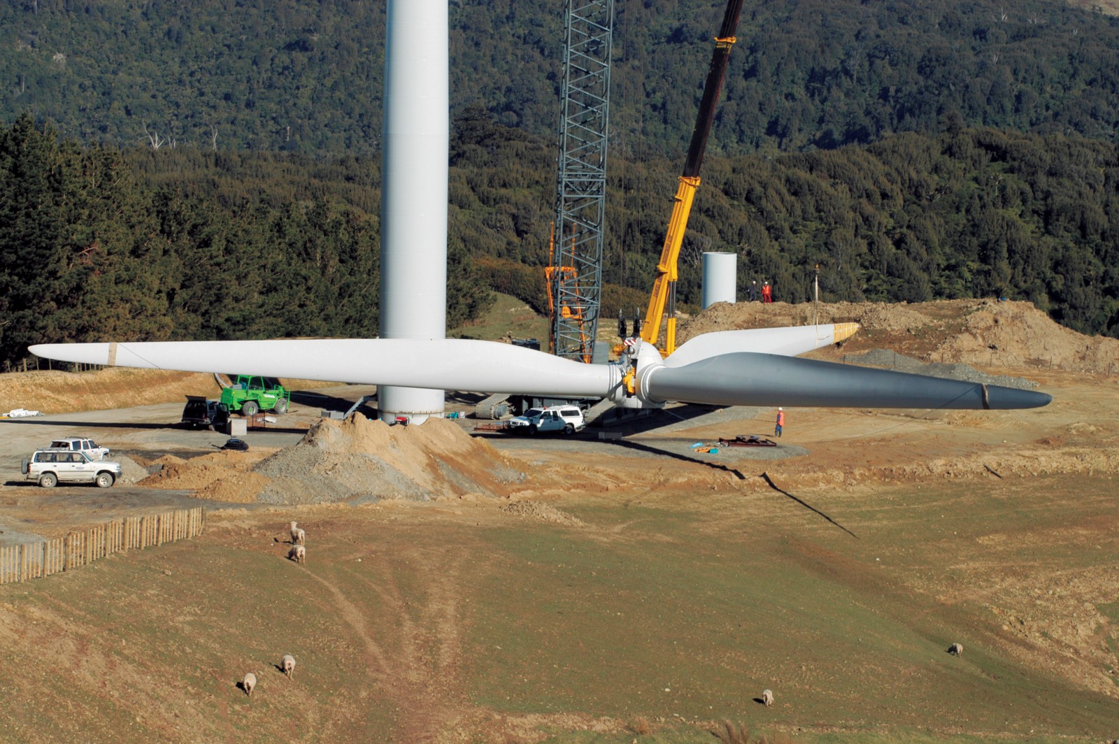 Blowin’ in the wind | New Zealand Geographic