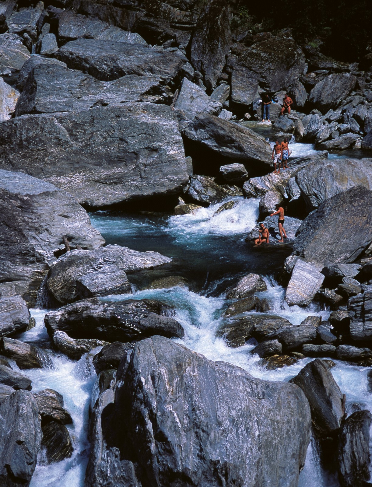 Spring in Haast | New Zealand Geographic