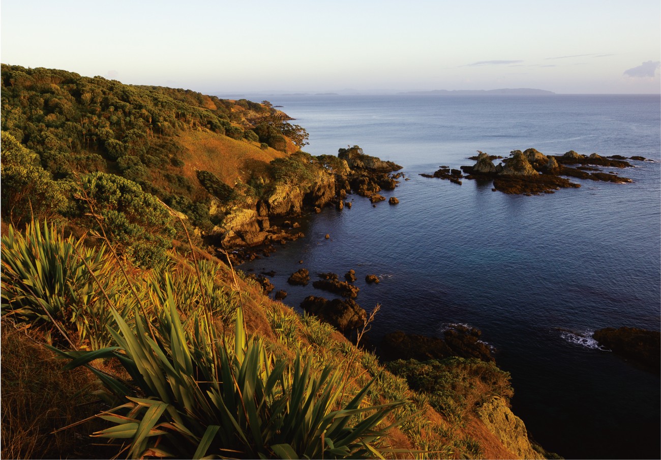 Bird Island | New Zealand Geographic