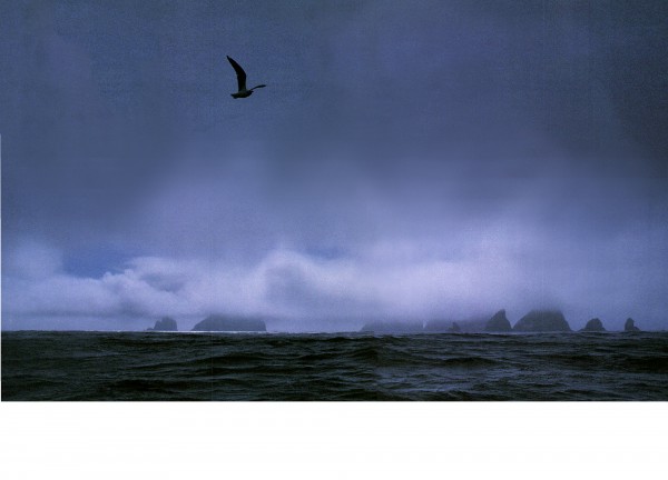 The Clifftop world of the three kings | New Zealand Geographic