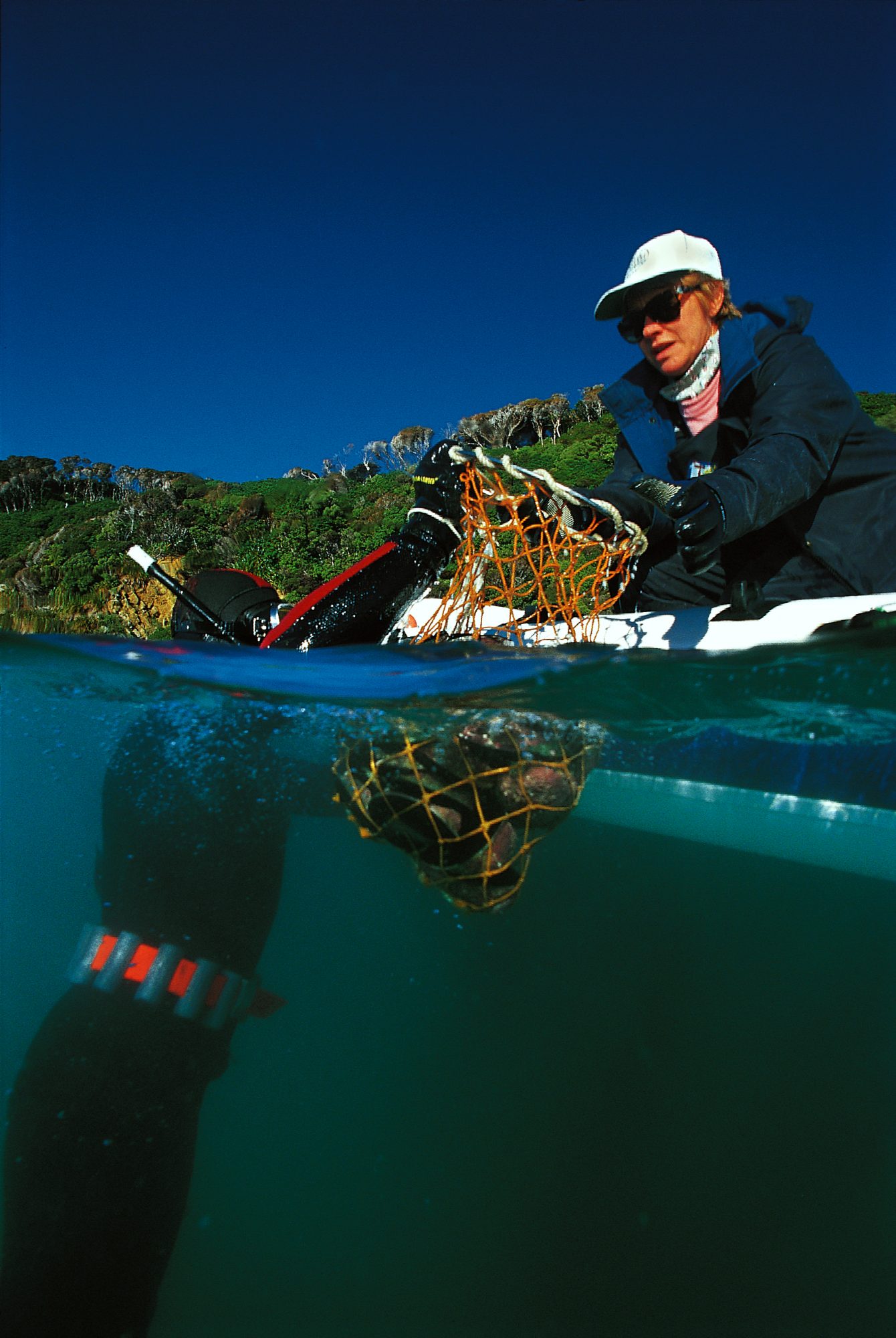 Passionate about paua | New Zealand Geographic