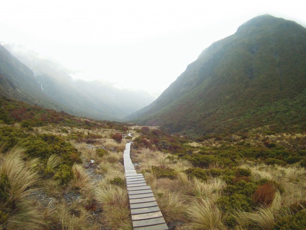 The long pathway (Part 2) | New Zealand Geographic