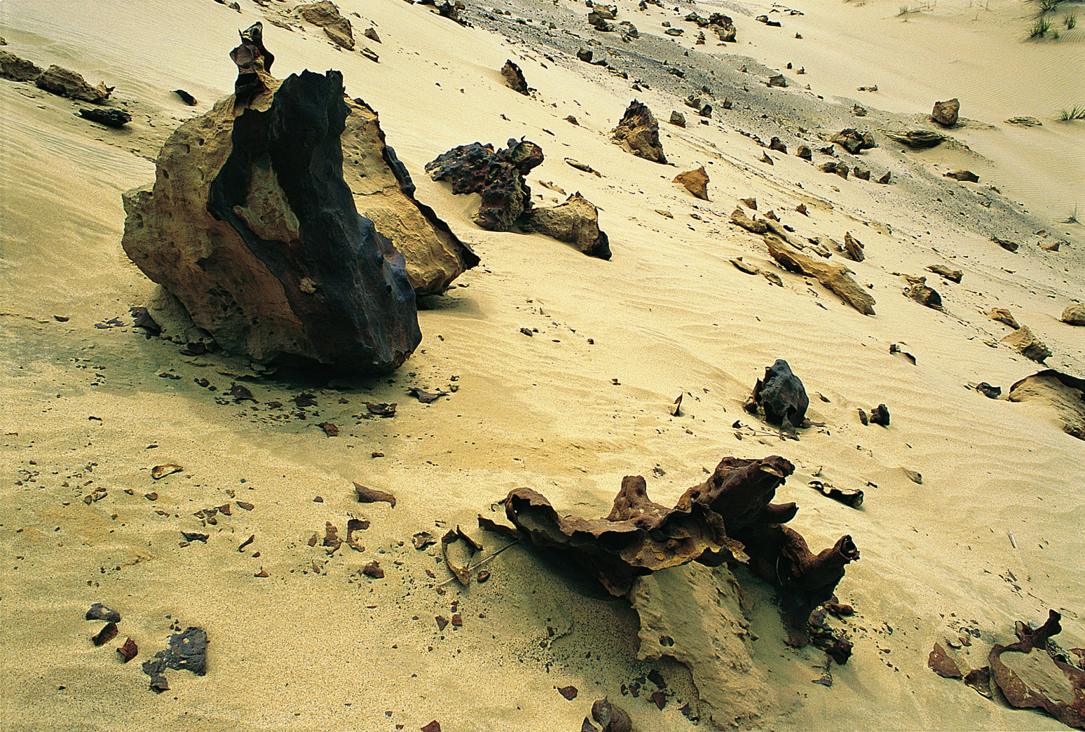 Dunes: the waterless sea | New Zealand Geographic