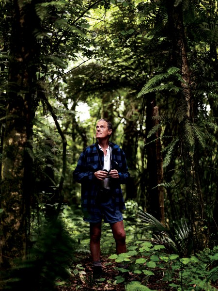 Predator-free New Zealand | New Zealand Geographic