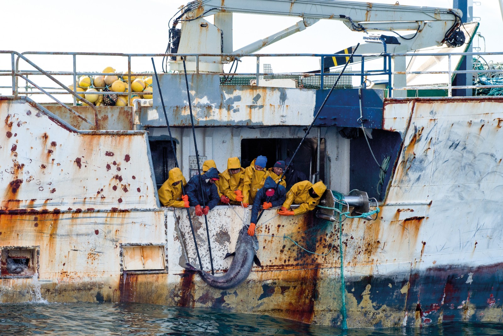 Forbidden Catch | New Zealand Geographic