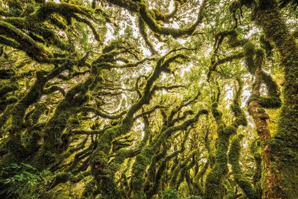 Best of Landscape | New Zealand Geographic