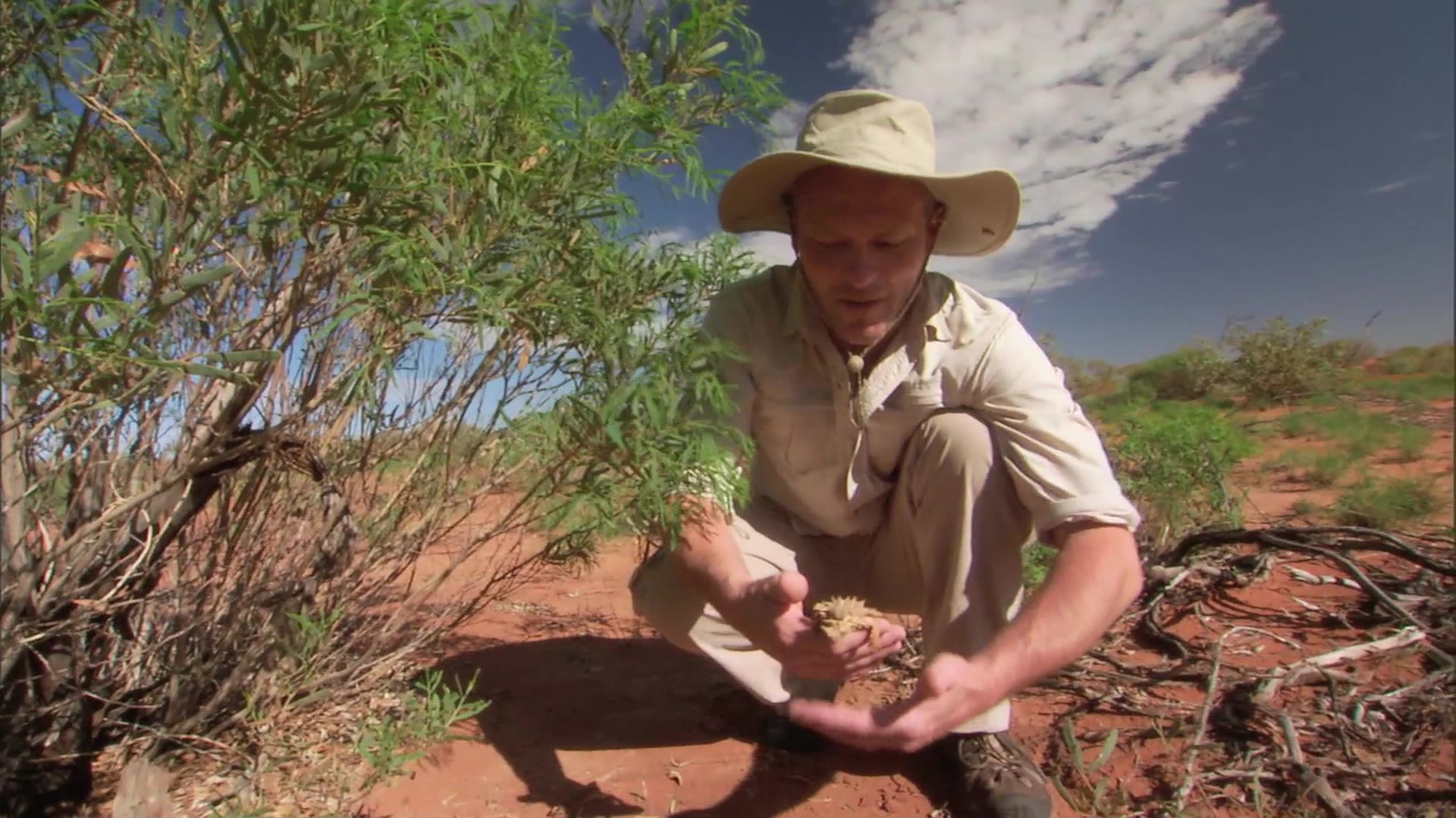 The Outback | New Zealand Geographic