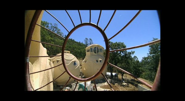 Animal Inventors Archives | New Zealand Geographic