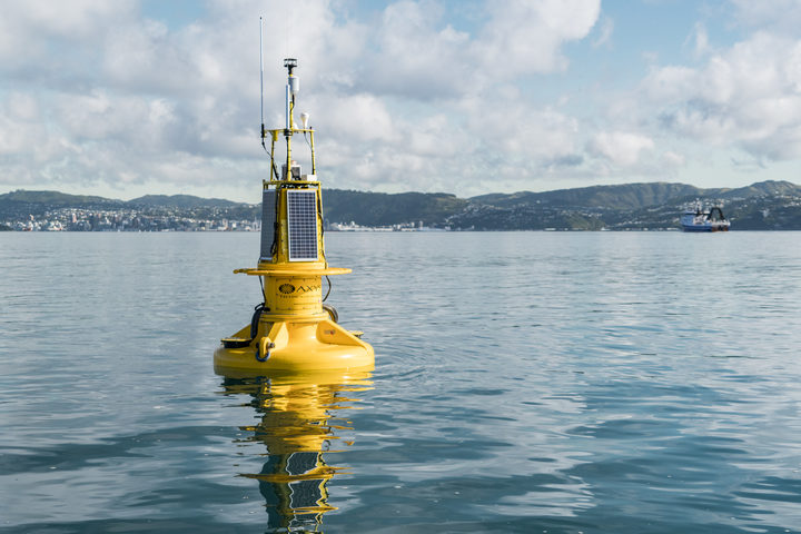 Spy in the water - Wellington Harbour's smart buoy | New Zealand Geographic Spy in the water - Wellington Harbour's smart buoy | New Zealand Geographic
