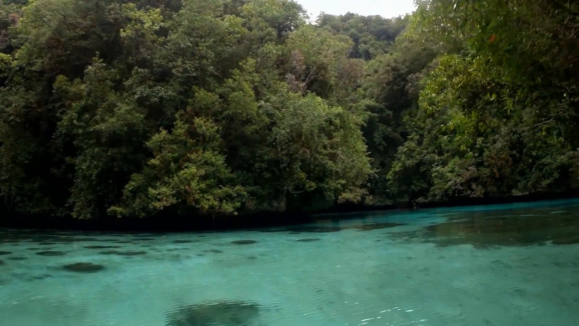 New Zealand: Lost World | New Zealand Geographic