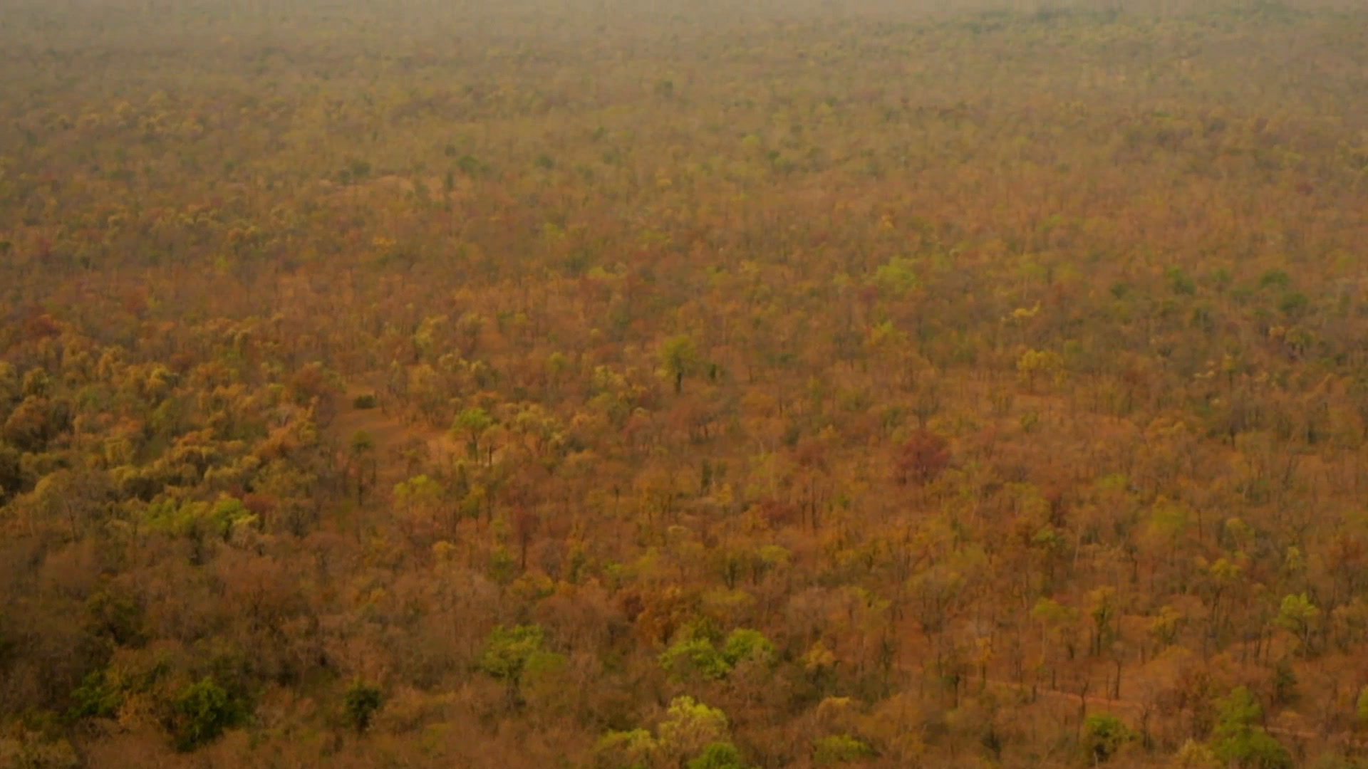 New Zealand: Lost World | New Zealand Geographic