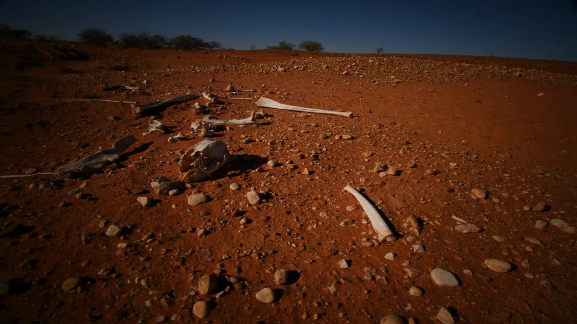 Life on the Equator | New Zealand Geographic