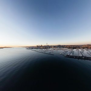 Snapper City | New Zealand Geographic