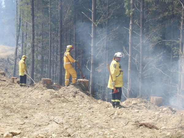 Nelson fires update | New Zealand Geographic