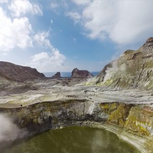 Join the shearing gang | New Zealand Geographic
