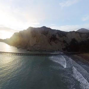Join the shearing gang | New Zealand Geographic
