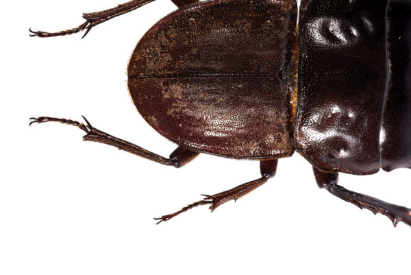 What happened on Stack H? | New Zealand Geographic