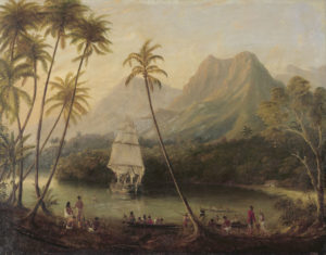 Tupaia | New Zealand Geographic