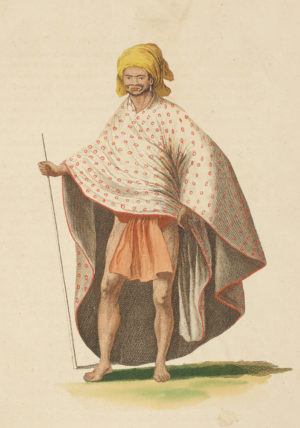 Tupaia | New Zealand Geographic