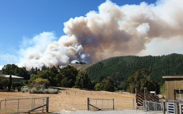 Wildfire report: Cordon management in emergencies 'needs improvement ...