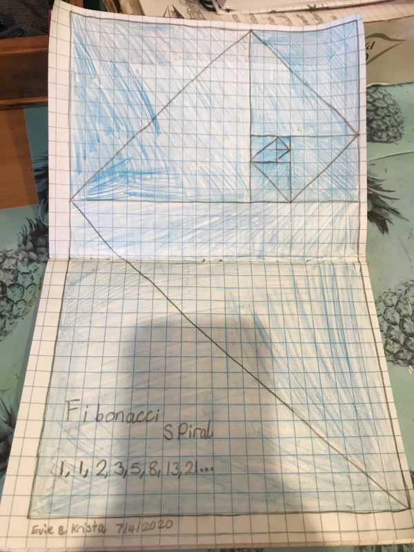 Kids respond: Fibonacci spiral | New Zealand Geographic