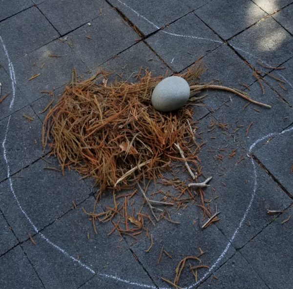 Cool Kiwis | New Zealand Geographic