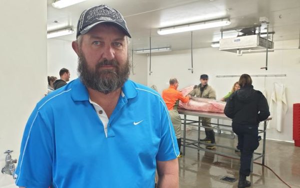 DOC defends fisher who caught protected great white shark | New Zealand ...