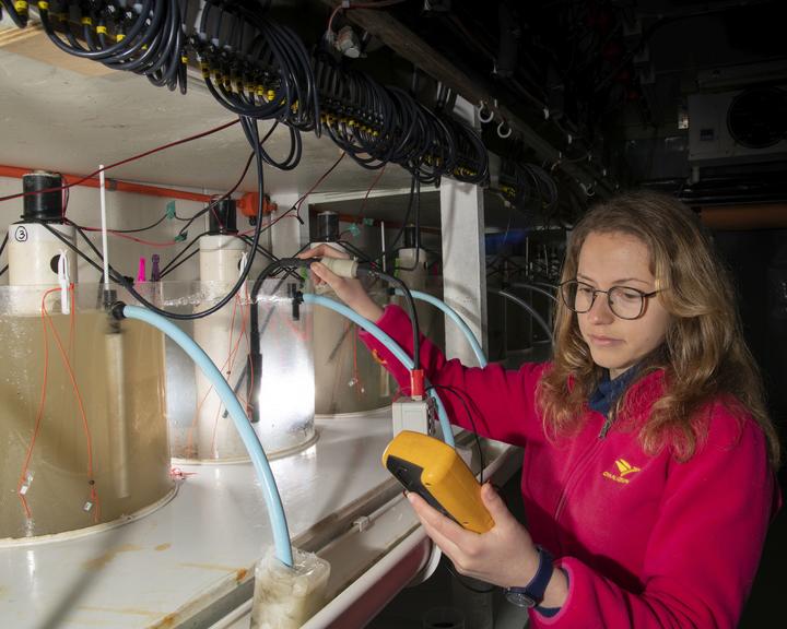 Putting deep sea corals to the test | New Zealand Geographic