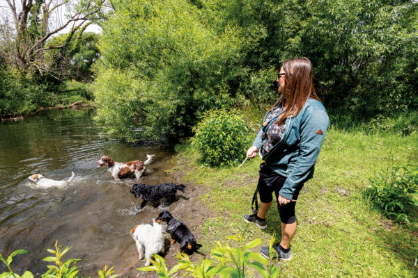 The greening of the red zone | New Zealand Geographic