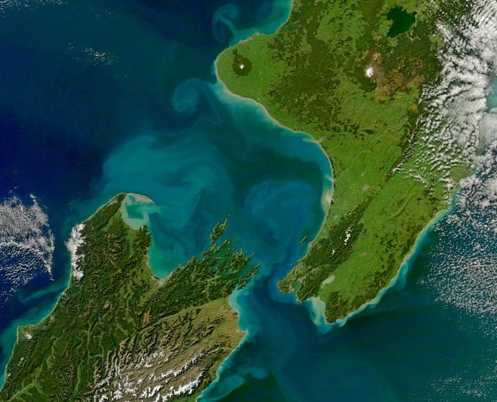 All at sea - the surprising reach of river waters | New Zealand Geographic