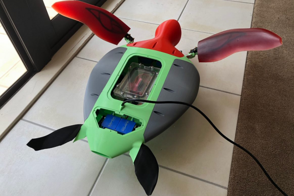 Researchers develop prosthetic fin for turtles | New Zealand Geographic