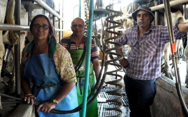 New book challenges Kiwi farming stereotypes | New Zealand Geographic