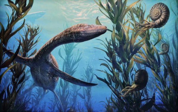Fossil scan reveals secrets of New Zealand’s extinct marine reptiles ...