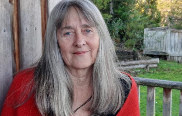 Former Green MP Catherine Delahunty on party troubles | New Zealand ...