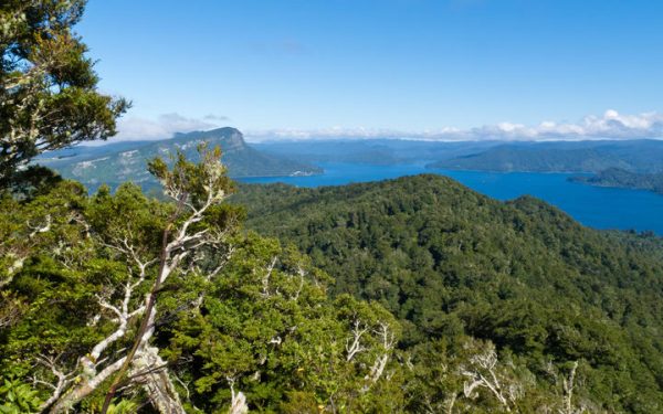 DOC looking at need for more Te Urewera funding | New Zealand Geographic