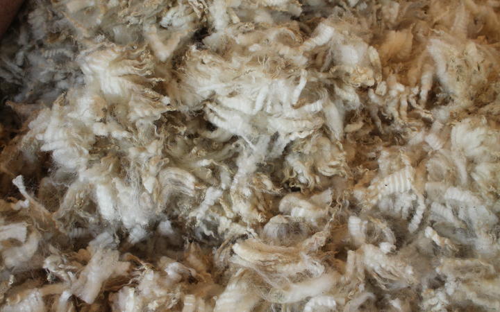 Wool Impact NZ plans for positive impact | New Zealand Geographic