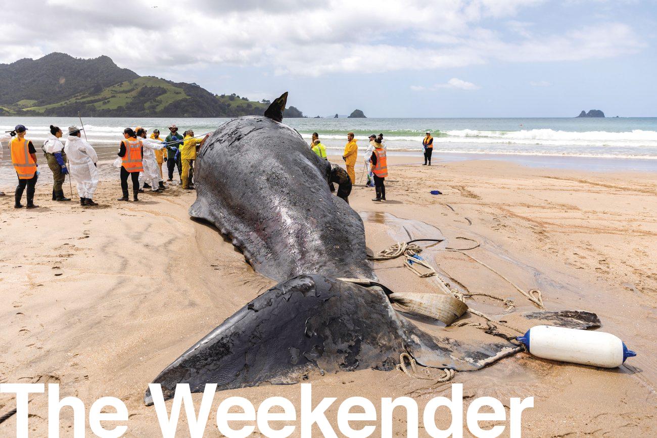 The Weekender // The gift of Puhiwai Rangi