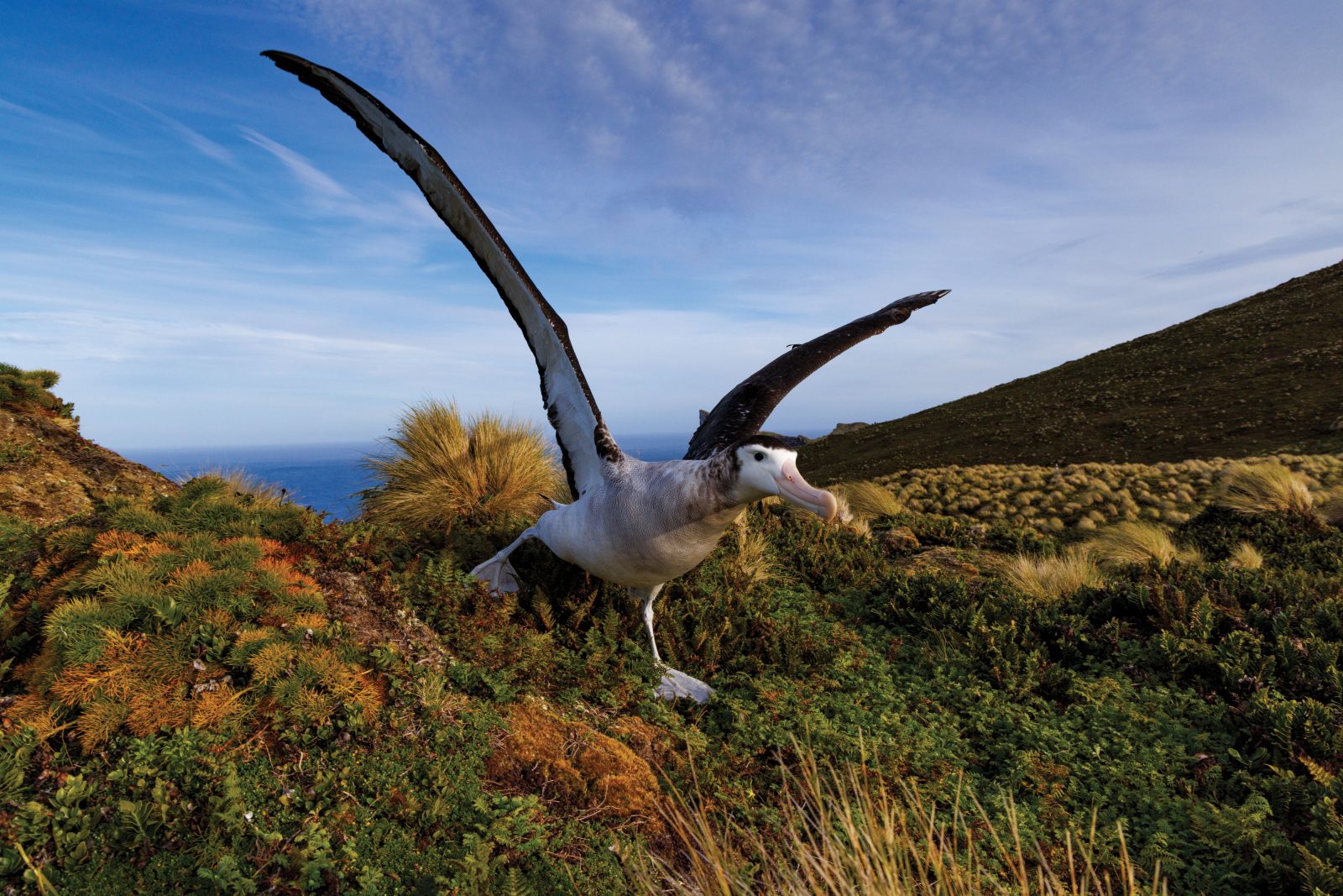 Summer 33 | New Zealand Geographic