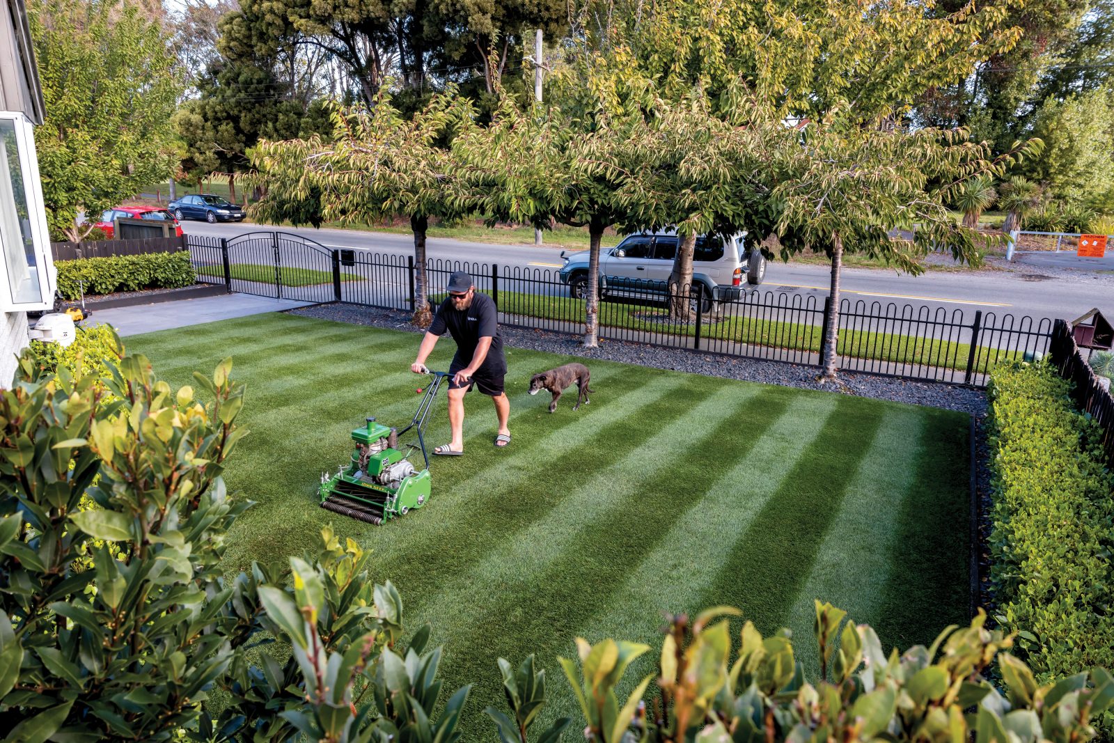 Immaculate | New Zealand Geographic