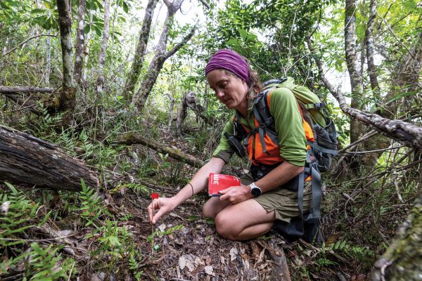 Turning the tide | New Zealand Geographic