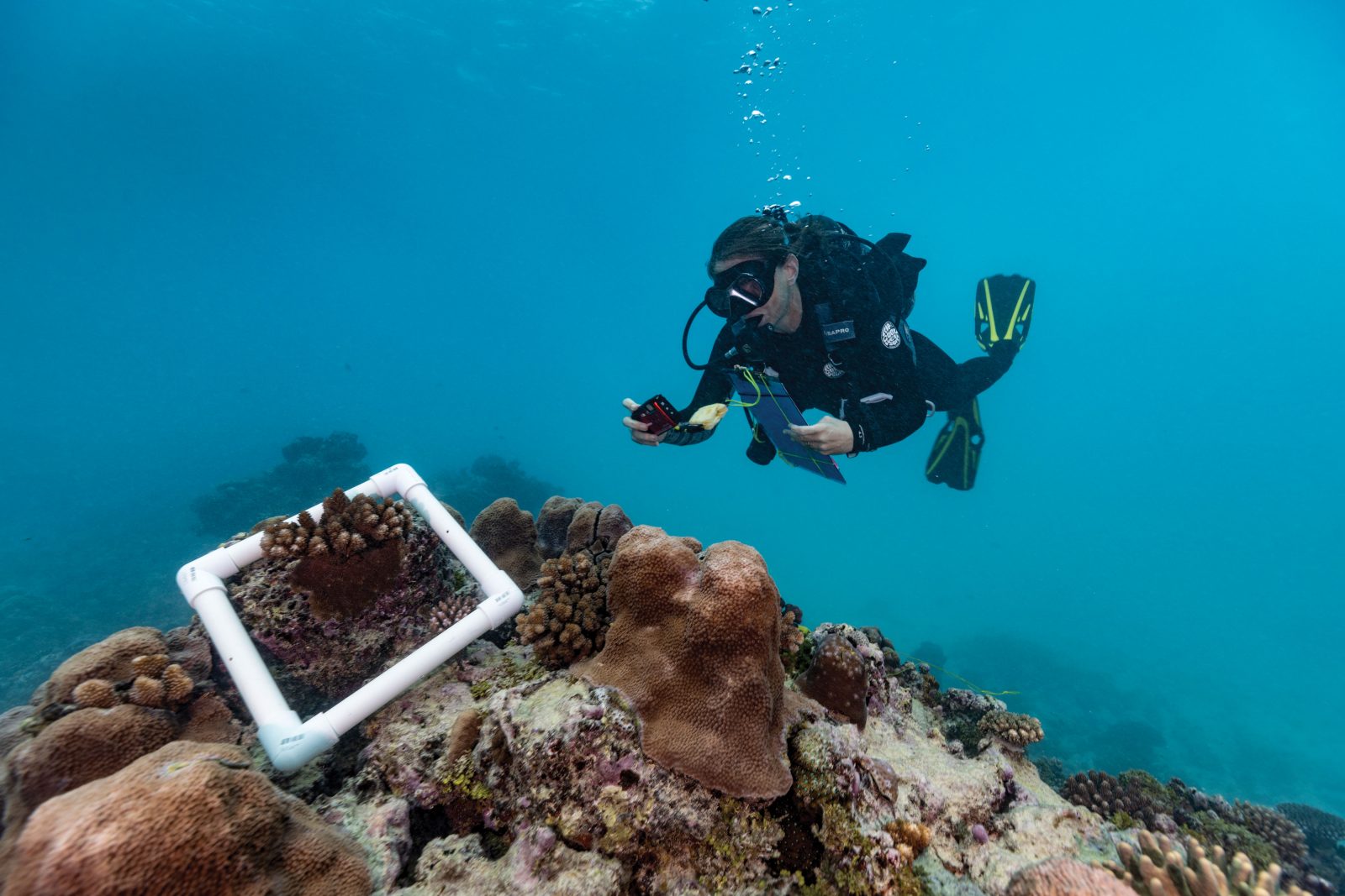 Turning the tide | New Zealand Geographic