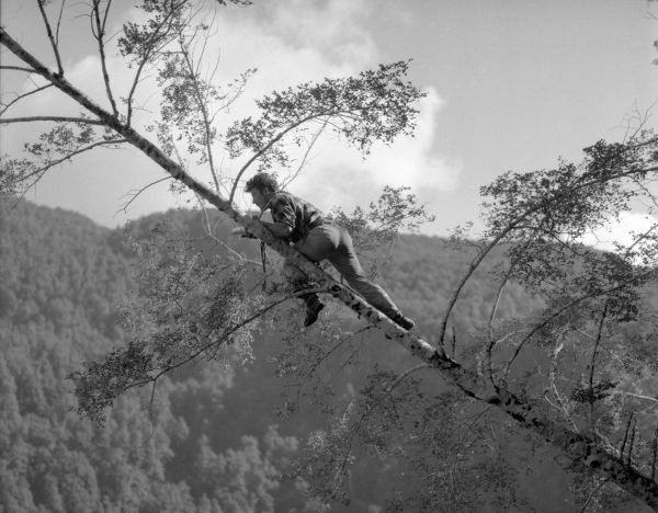 Finding Frank: The Life of Frank Erceg—New Zealand Deer Hunter ...