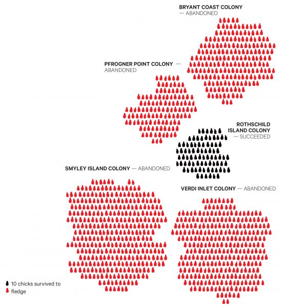 Counting the dead | New Zealand Geographic