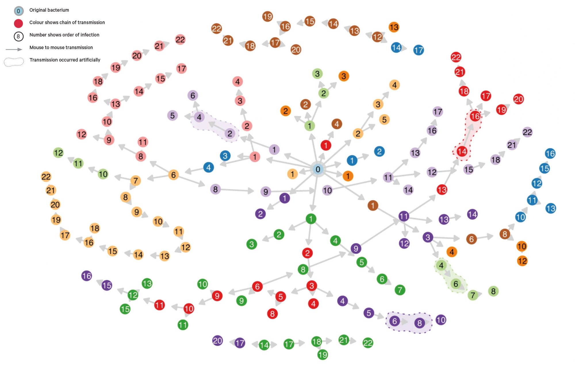 We’re getting better at joining the infection dots | New Zealand Geographic